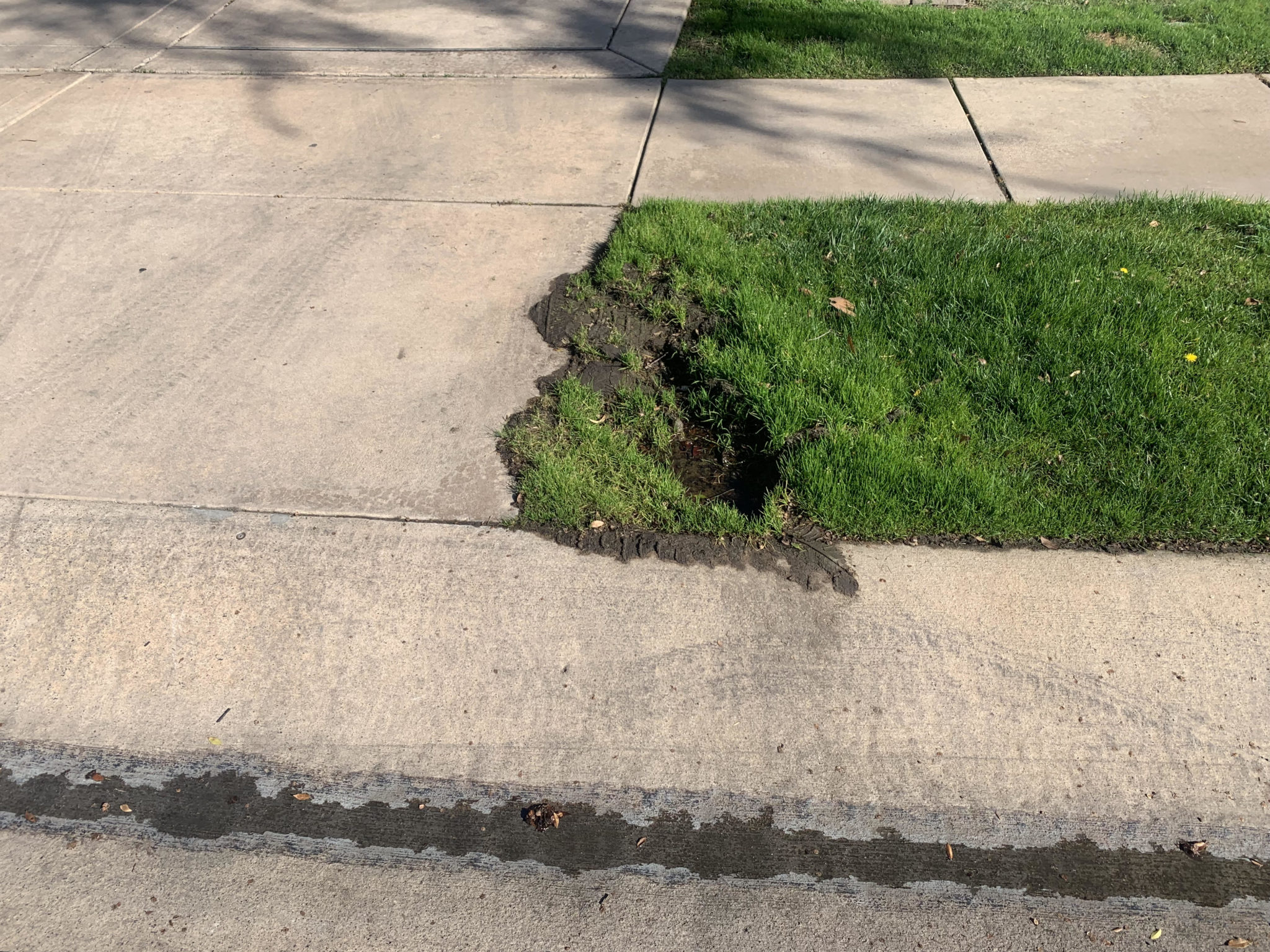 Damage to Parkway Turf - Encinitas Ranch Community Association